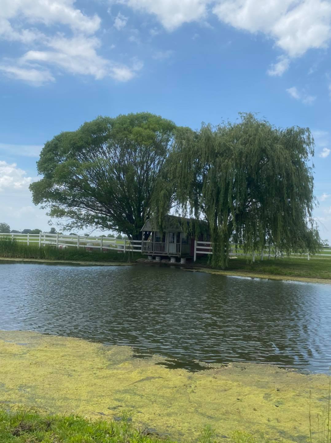 Where Miracles Happen – The Prairie Land Buzz Magazine