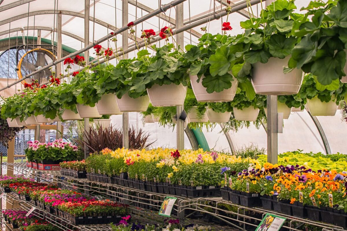 Four Generations of the Mayfield Family Have Shaped Max B. Mullins ...